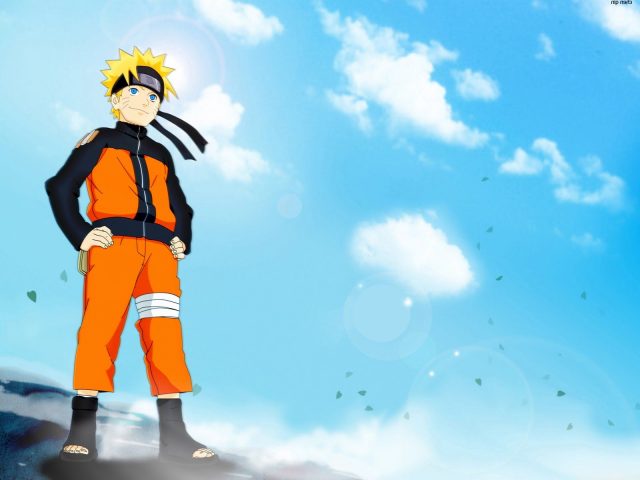 Team 7 Wallpaper - Wallpaper Sun