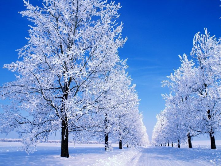 Winter Desktop Wallpaper - Wallpaper Sun