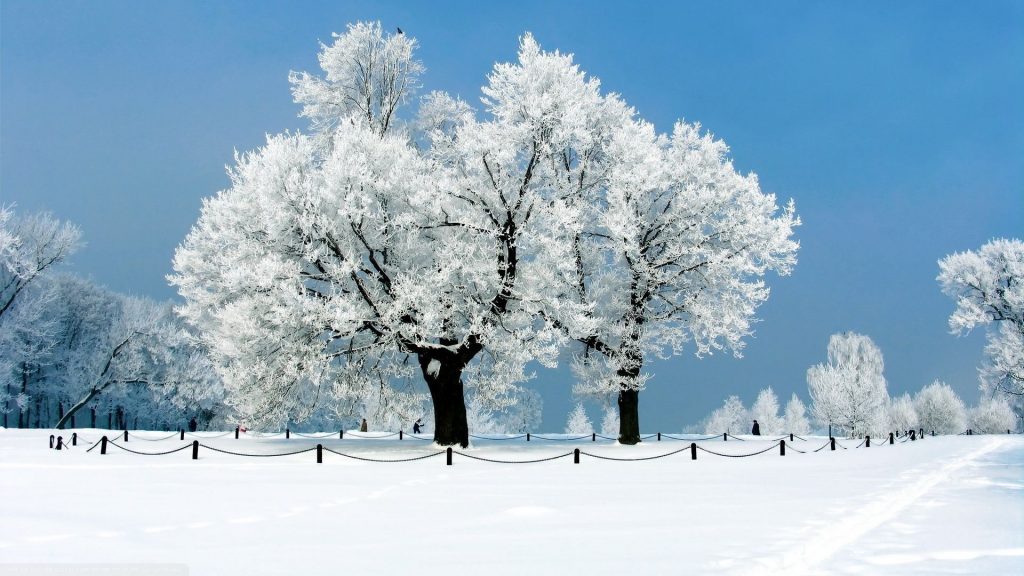 Winter Desktop Wallpaper - Wallpaper Sun